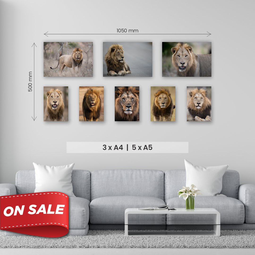 8 Piece Small Feature Canvas Combo – Canvas and Gifts